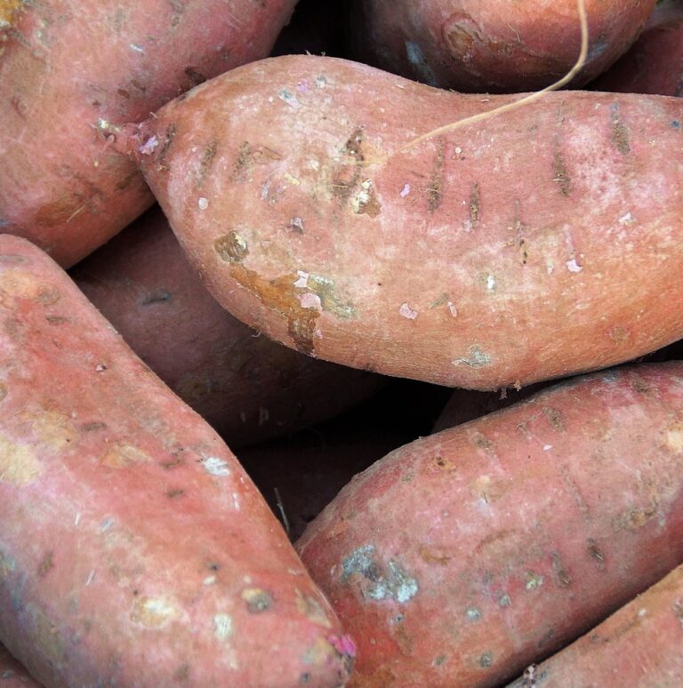 Vos produits maraîchers - Le marché de Vaulx Légumes